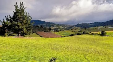 QUIBA, TURISMO Y BOSQUES HERMOSOS, KM 20, Cdad. Bolívar, teléfono +57 ...